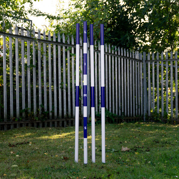 Soft Long Jump Poles (4pk) – Naylor Agility